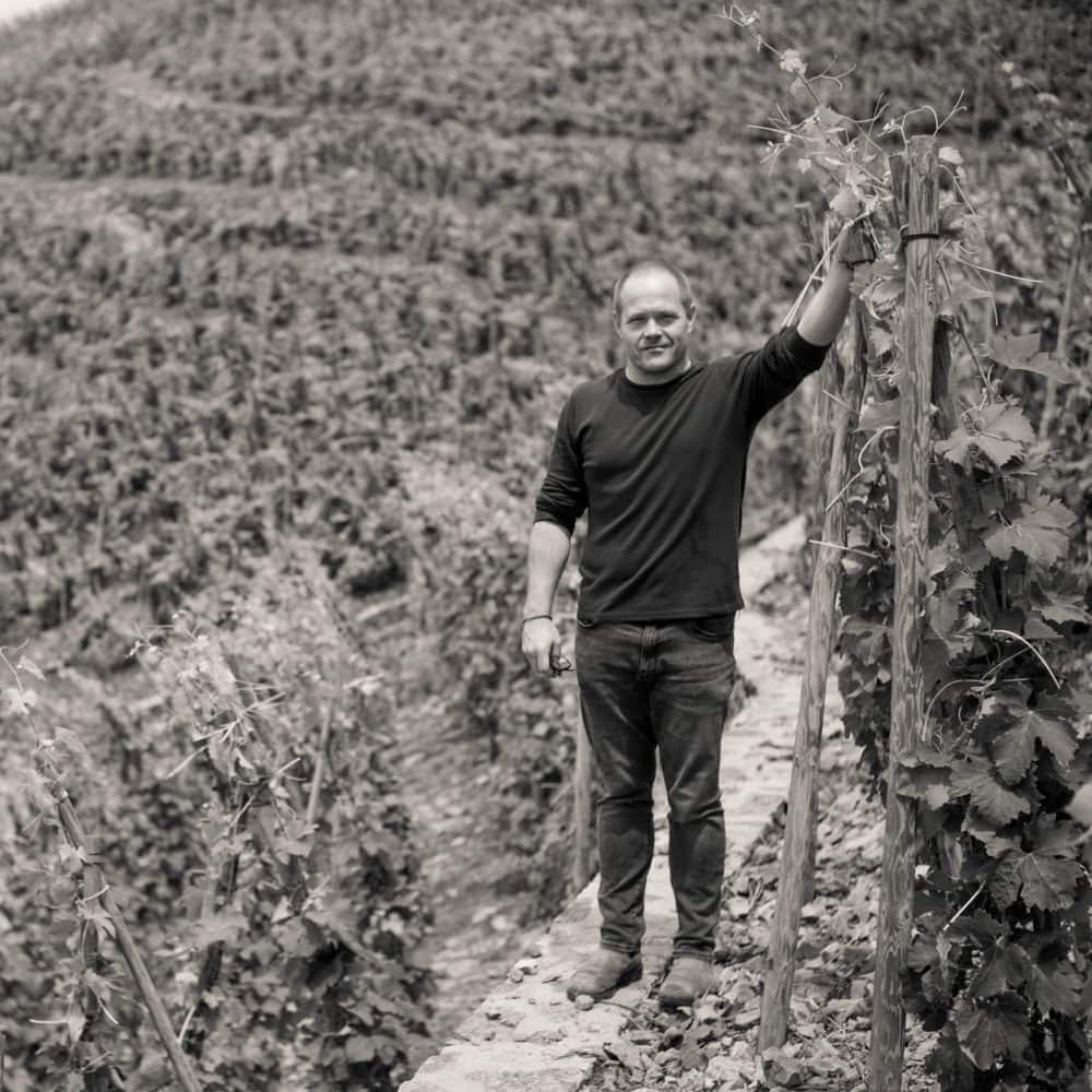 About • Berkeley And. Stuart